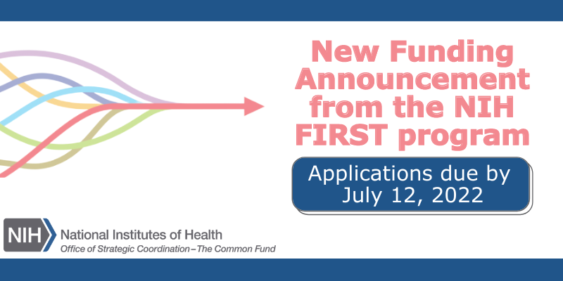 Faculty Institutional Recruitment for Sustainable Transformation (FIRST) | NIH Common Fund